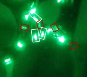 Dual Mode NVIS Illumination, Fluorescence Challenges | CEVIANS