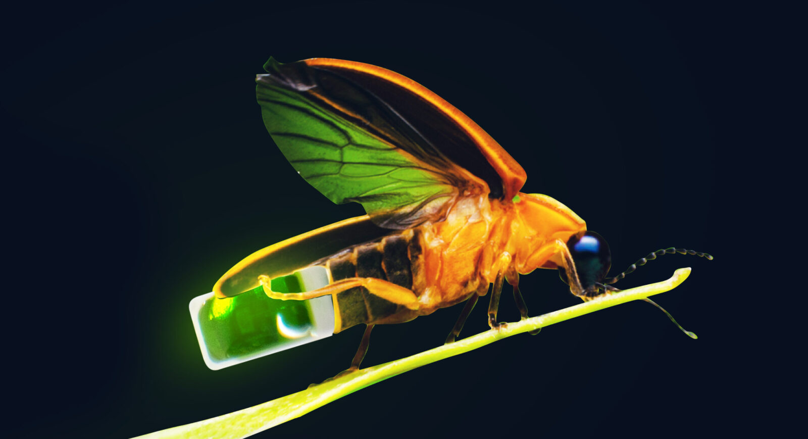 News & Events | Cevians