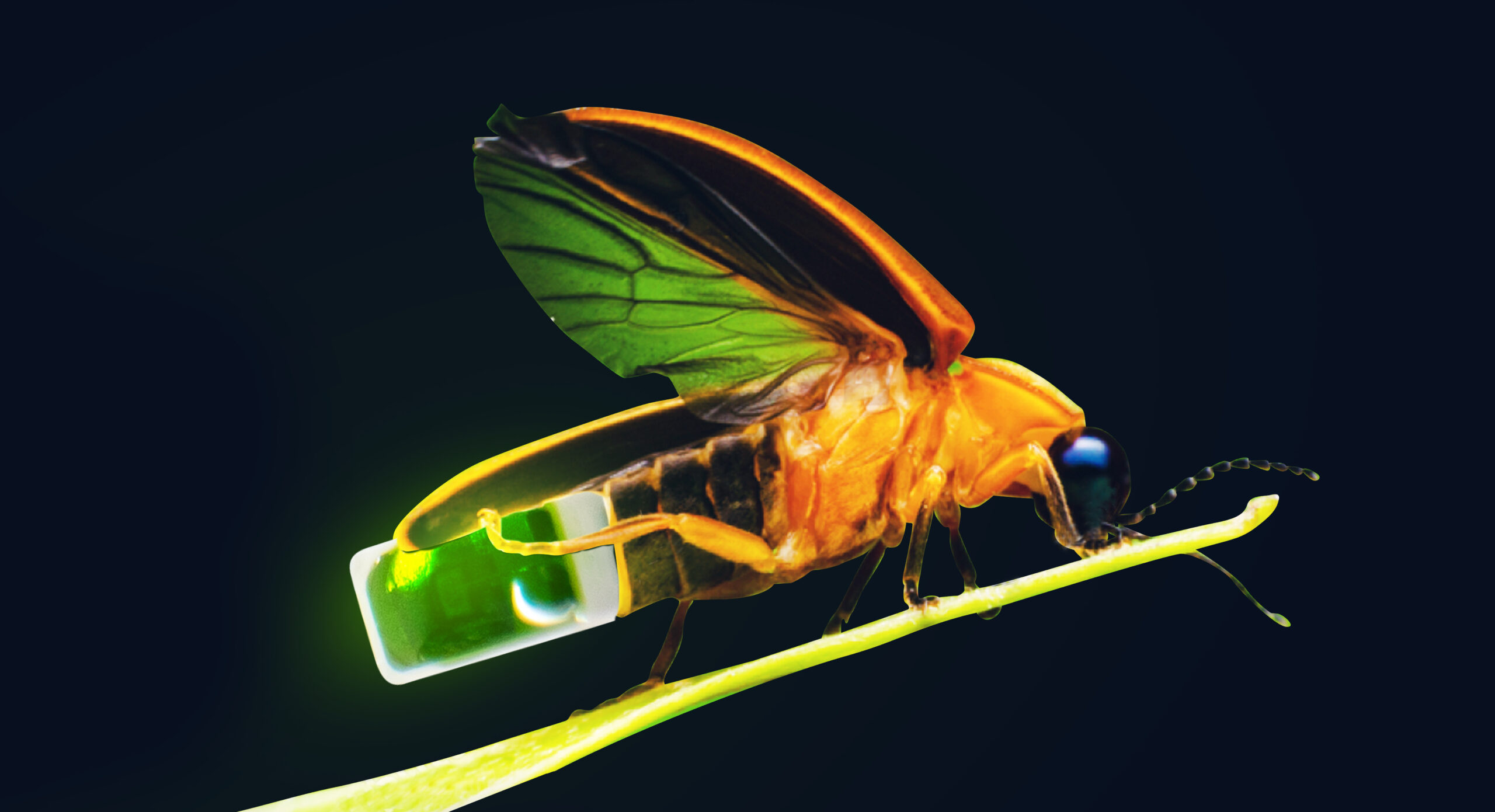 Smaller Is Better: New NVISable LED 0603 - Cevians